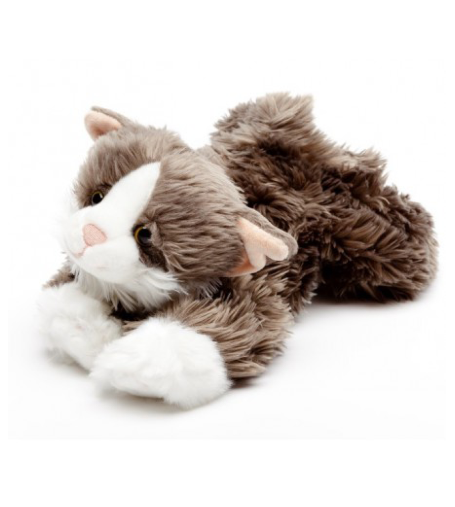 Billy-kissa, dementiakaupan ikisuosikki! - Mentex